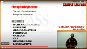 PASS Program USMLE Review 2025 (Is It Worth It?)