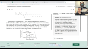 Best MCAT Prep Courses 2025 (Top 5 Reviewed & Ranked)