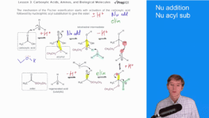 Prep101 MCAT Review (Pros & Cons Explained) | Test Prep Insight