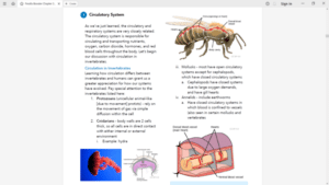 DAT Booster vs DAT Bootcamp 2022 (There Is A Clear Winner)