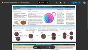 OAT Booster Review 2025 (Is It Worth It?)