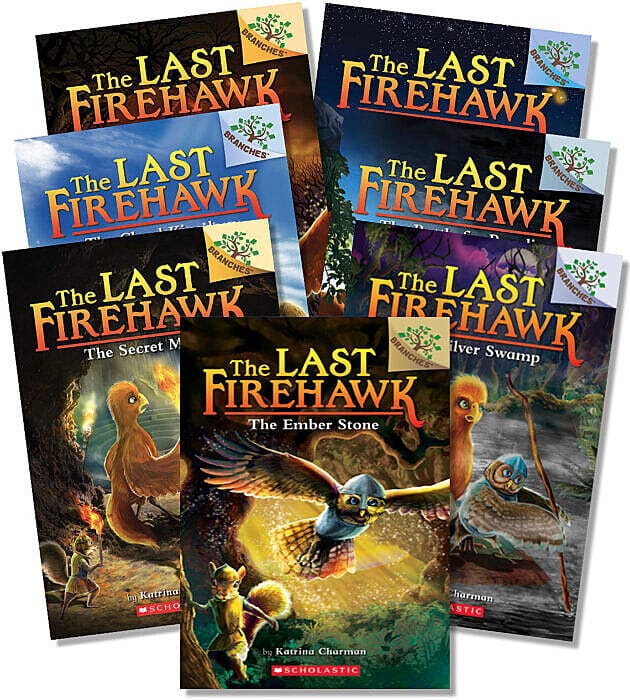 3rd Grade Reading Level (Teacher Survey + Explainer)